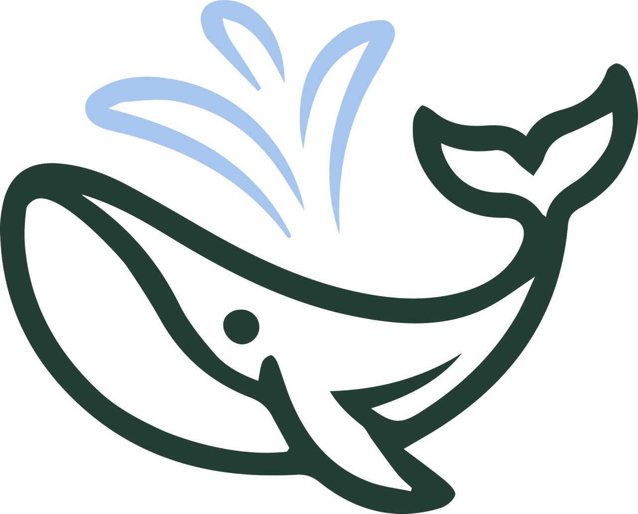 Pharos Stats Checker - Track Testnet Points & Leaderboard Rank